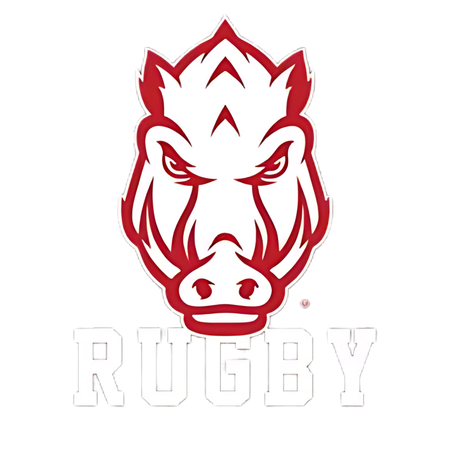 College – Arkansas Rugby Foundation